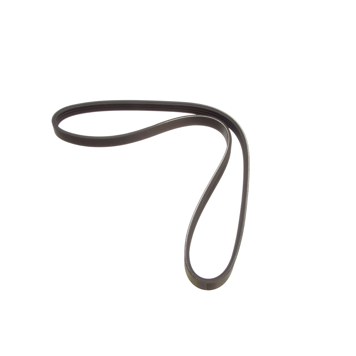 BMW AC Drive Serpentine Belt - 11287512762 — Race German